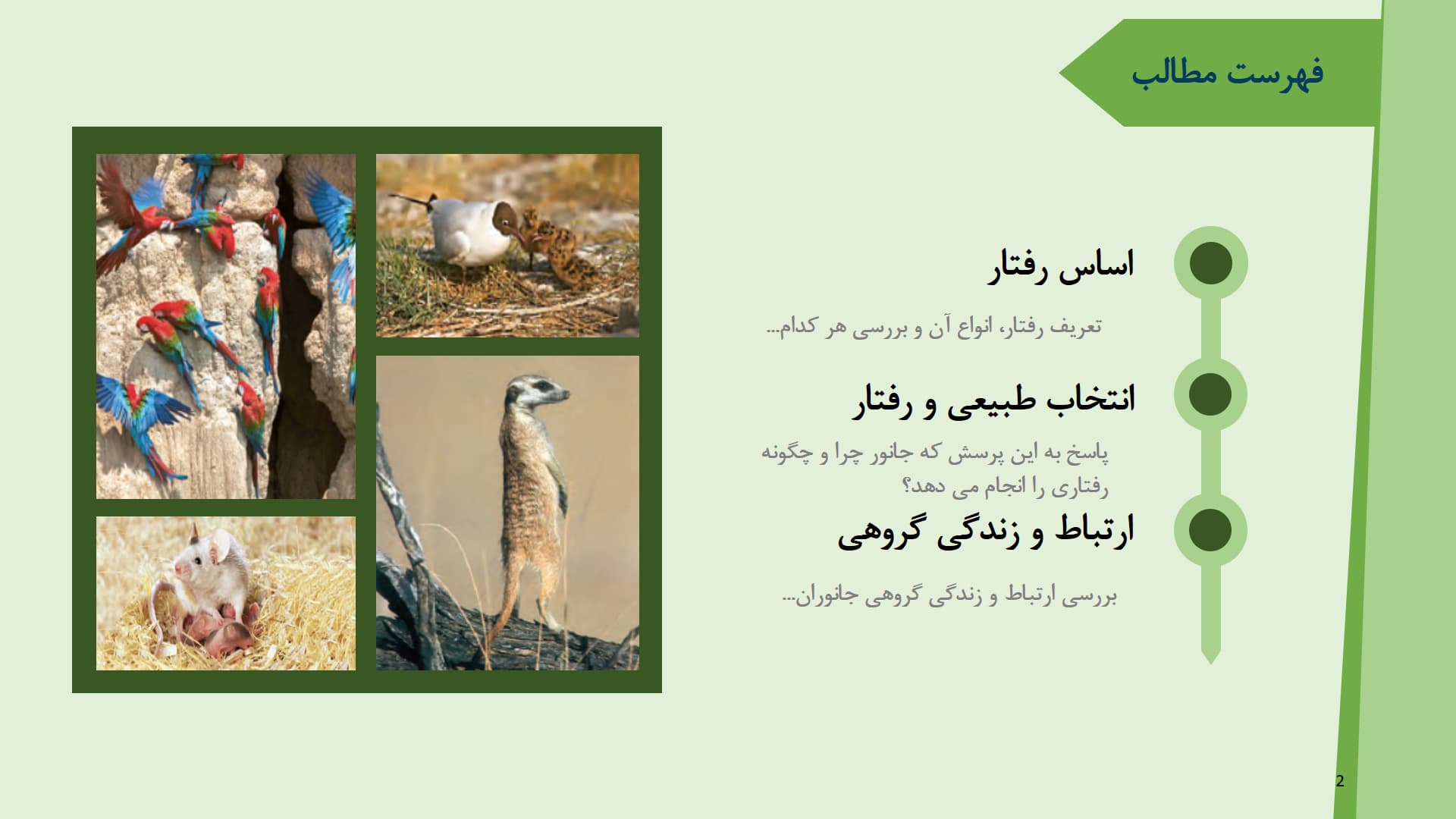 قالب پاورپوینت زیست دوازدهم گروه آموزشی و مهندسی 98