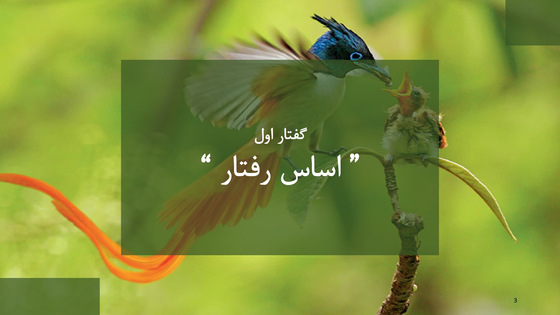 قالب پاورپوینت زیست دوازدهم گروه آموزشی و مهندسی 98
